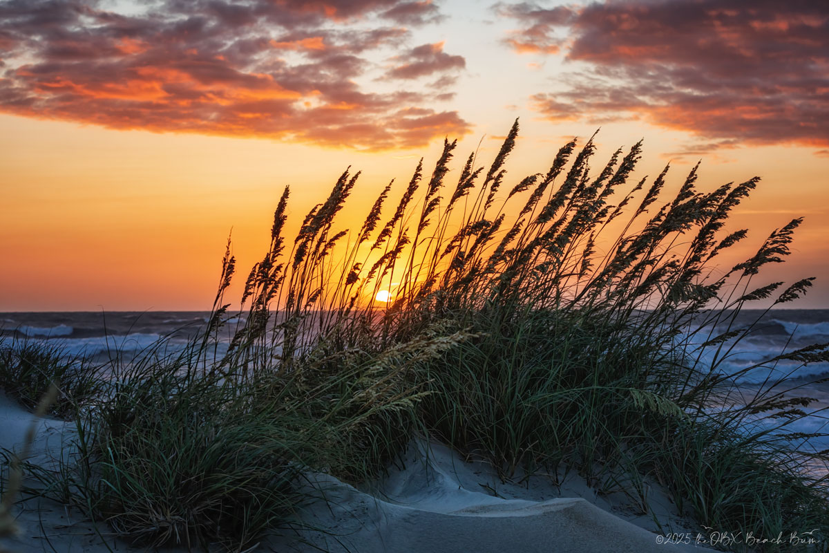 August 2025 - DailyOBX - OBX Beach Bum Store